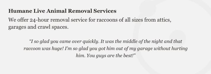  How To Write A Personal Testimonial About Yourself How To Write A 